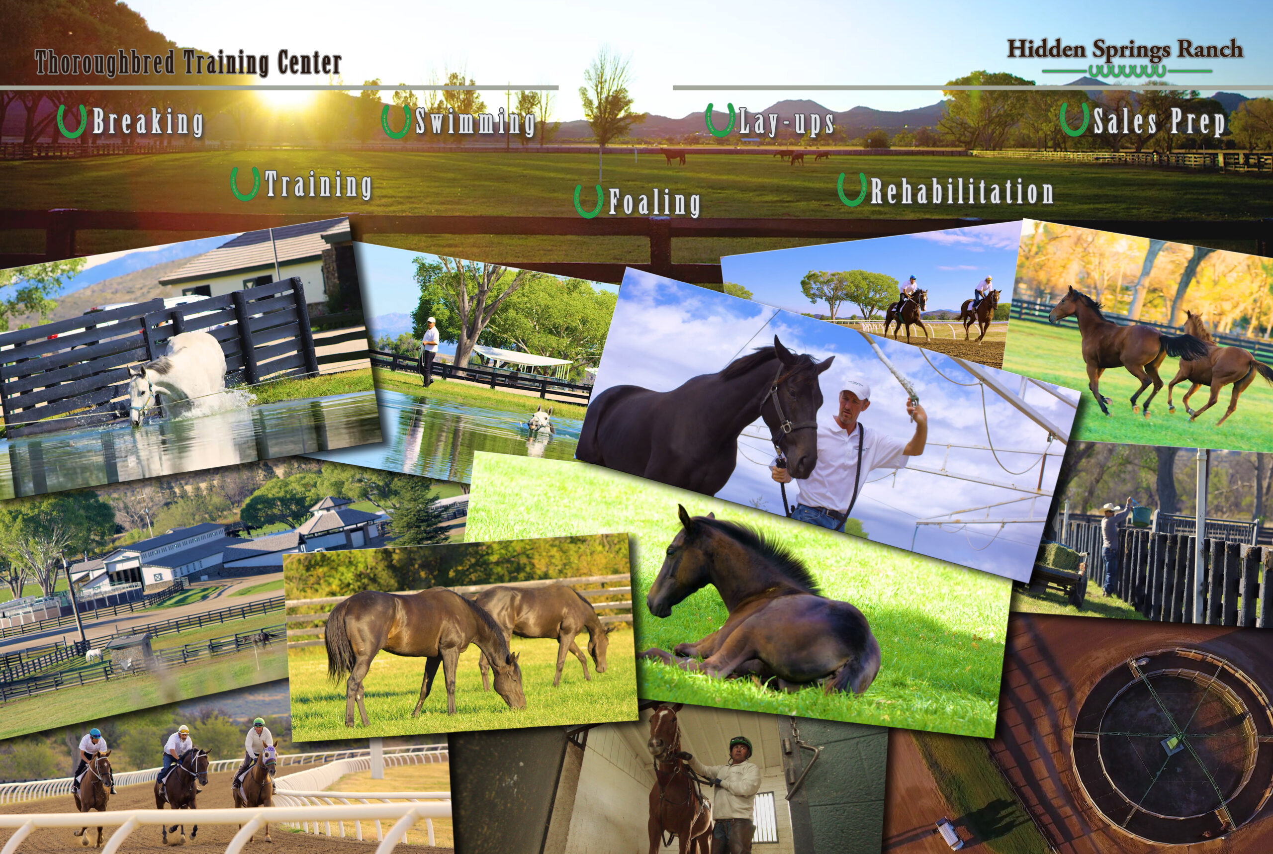 Gallery – Hidden Spring Ranch