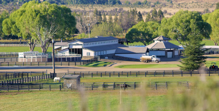 Gallery – Hidden Spring Ranch