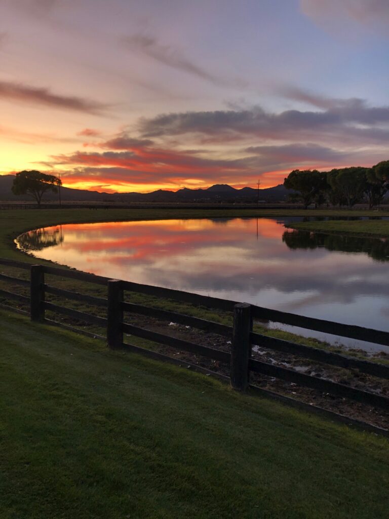 Gallery – Hidden Spring Ranch