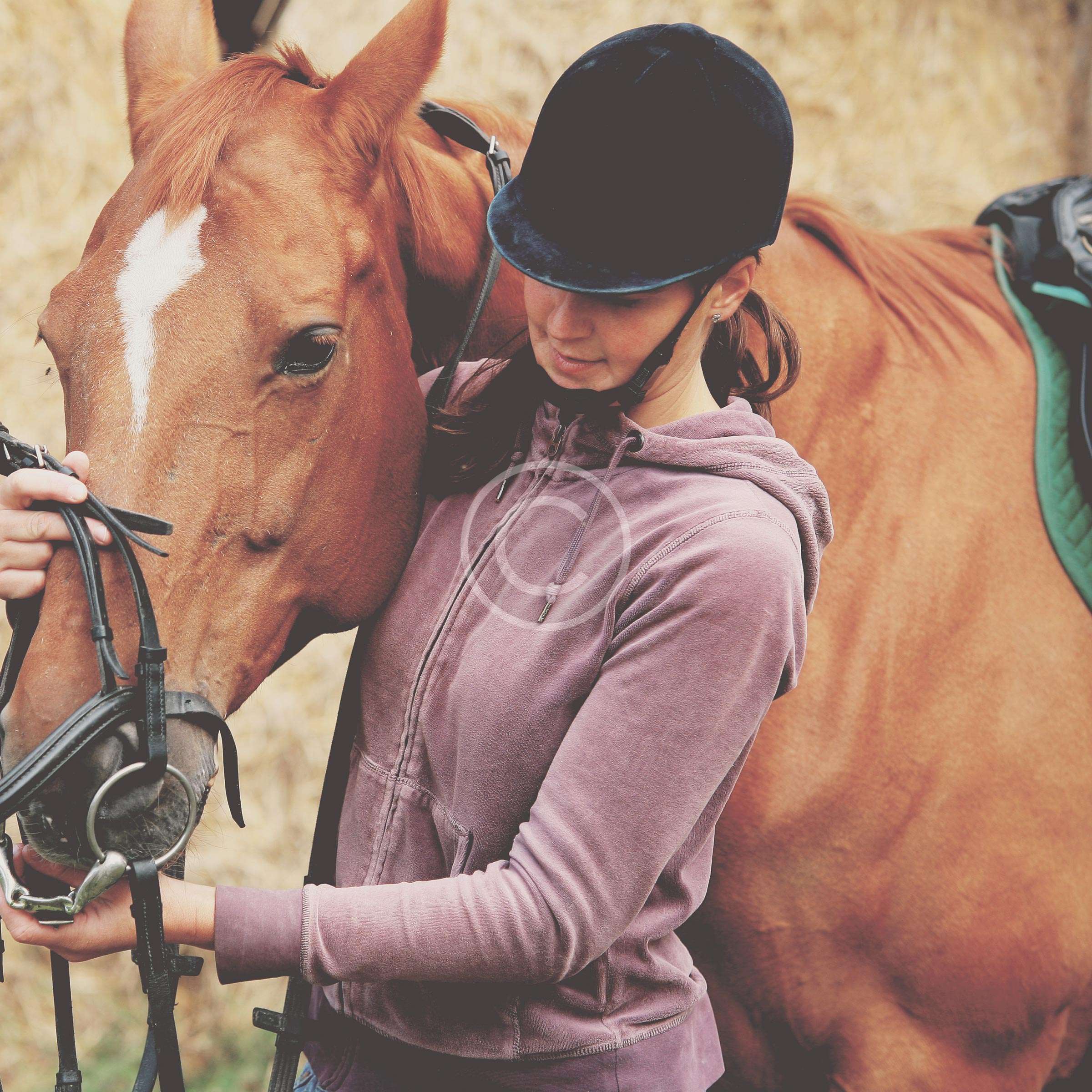 Unaffiliated Dressage at Equestrian Farm – Hidden Spring Ranch